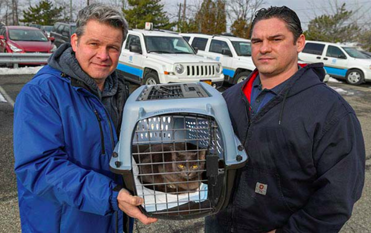 Three Big Hearts, a Bucket Truck, and a Cat Saved | Maura Yates